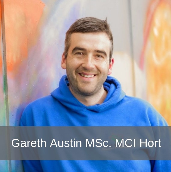 A splash of South America in the garden – Braidwater Homes